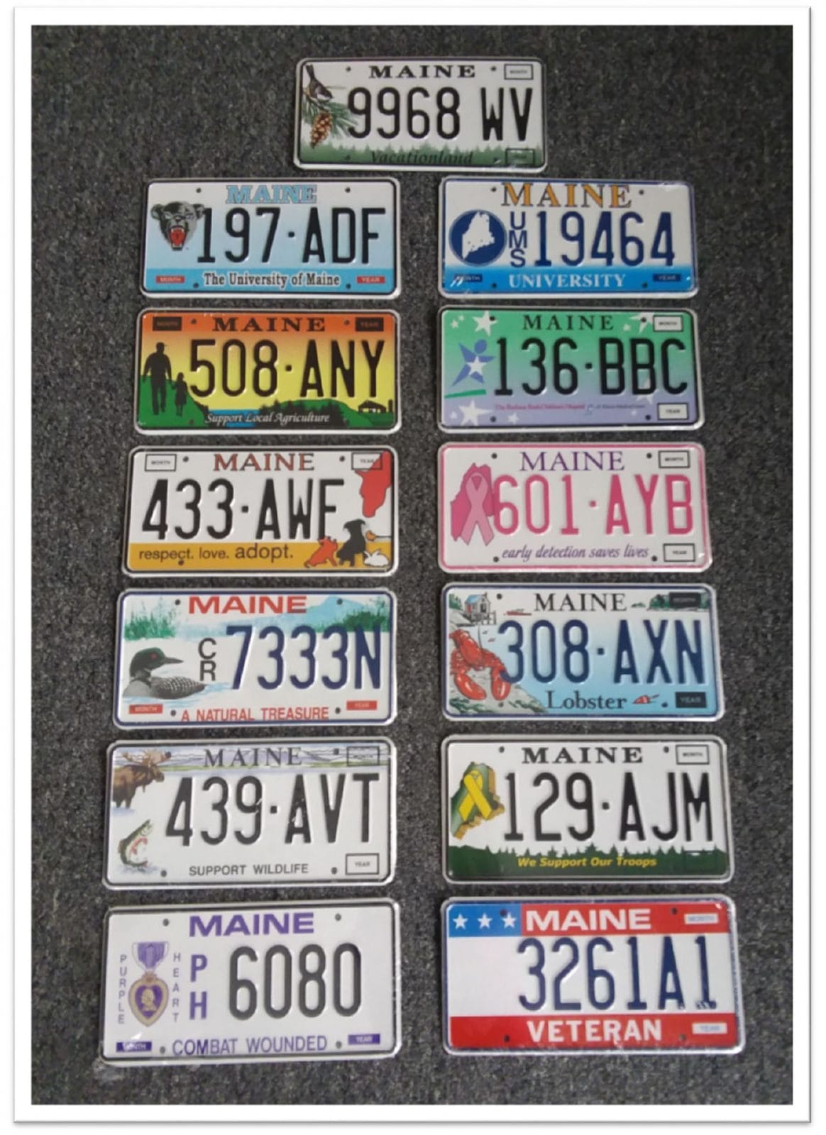 Vehicle Registration - Town of Greenville, Maine
